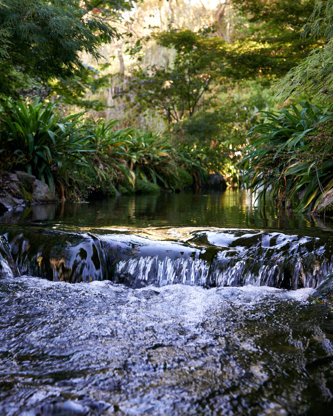 Our Story – Rapaura Springs